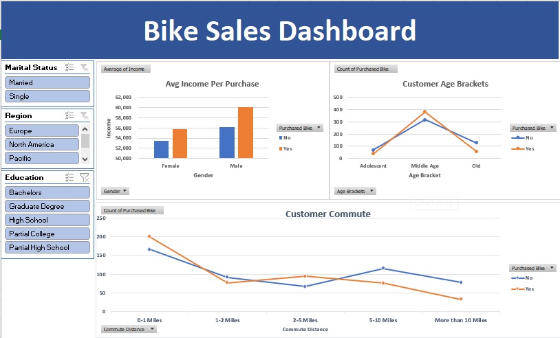 Miras Data Analyst Portfolio